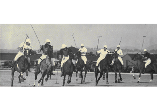 About us polo assn